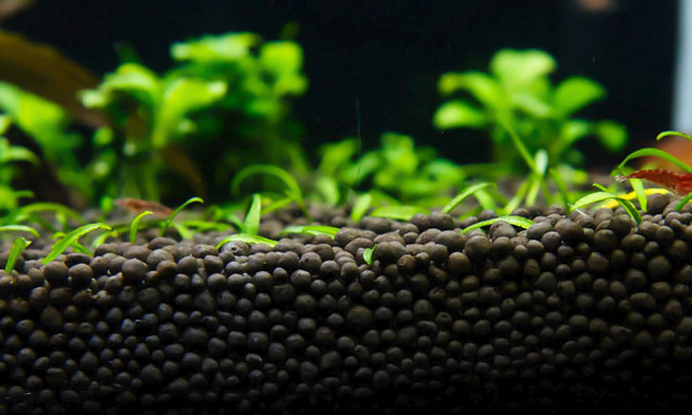 Por que meu aquário precisa de um substrato? | MyAquarium